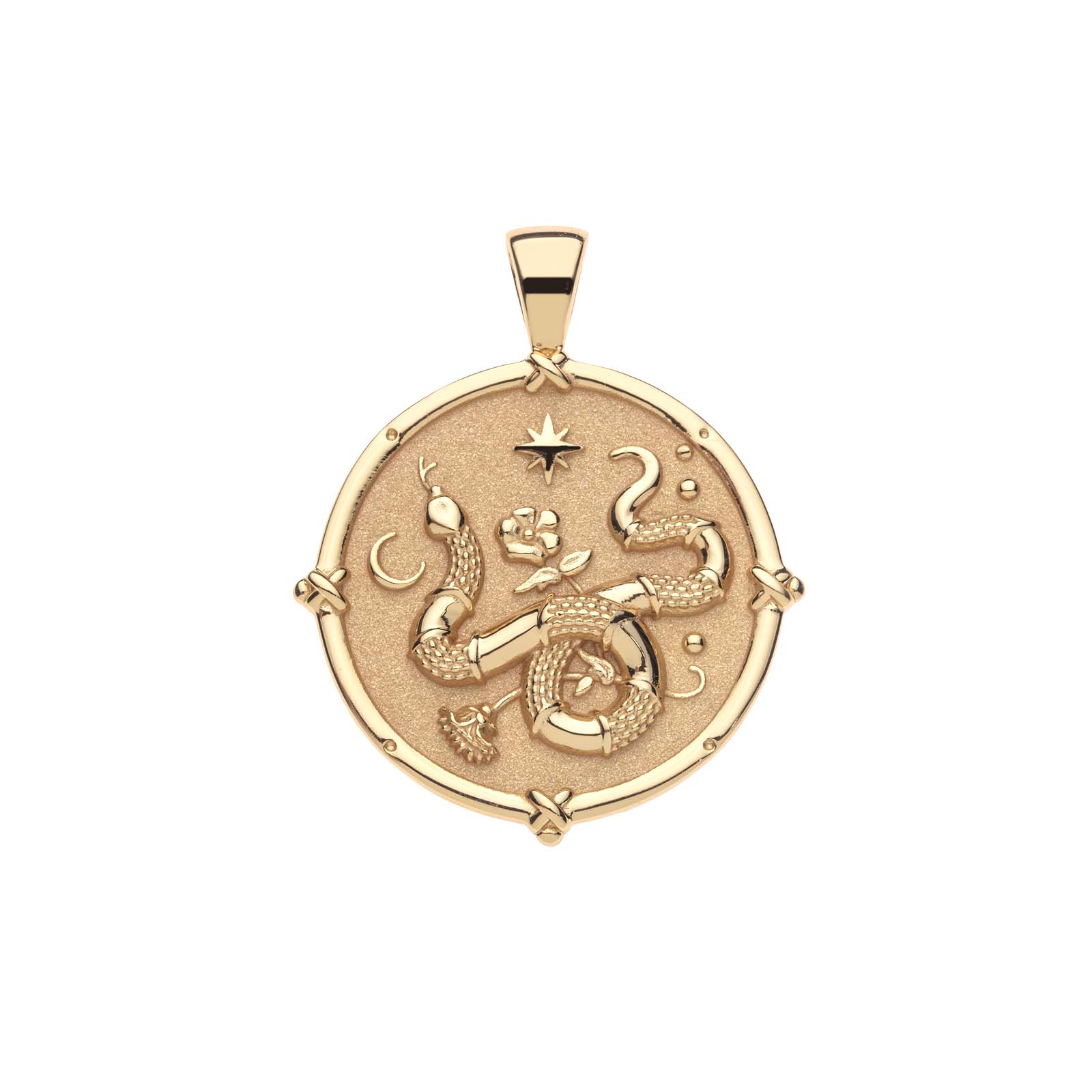 Snake coin necklace store