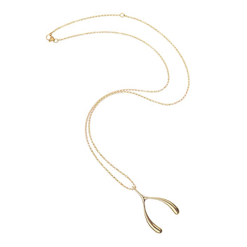 LUCKY Gold Wishbone Pendant – Jane Win Jewelry